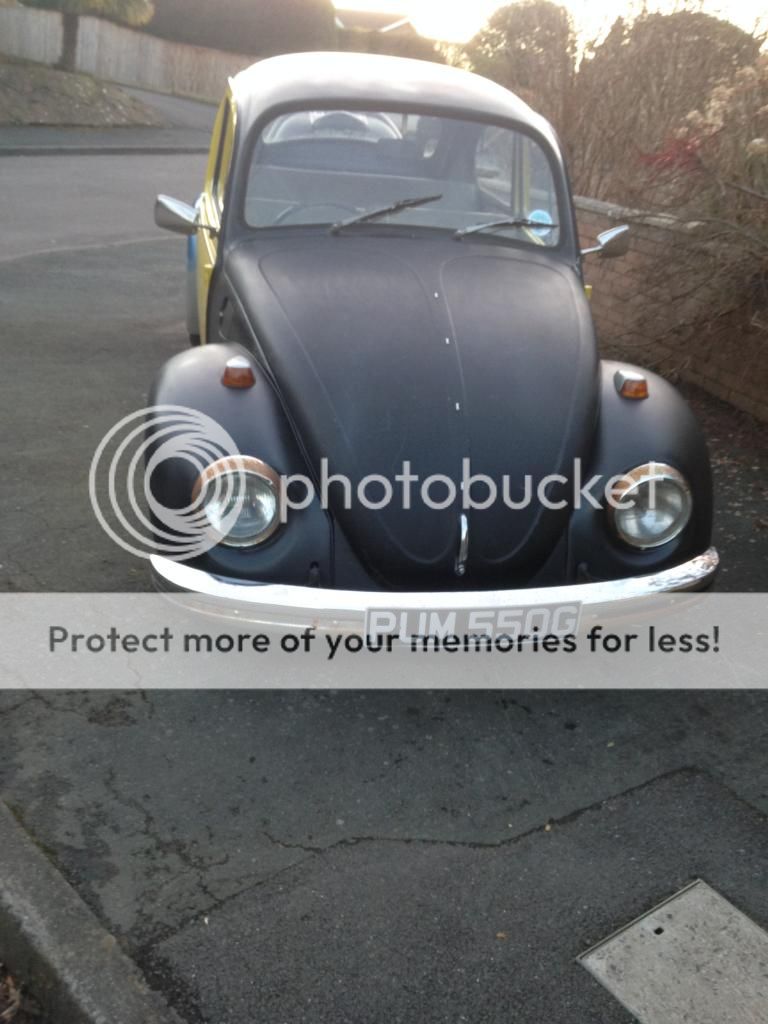 68 rat beetle | Page 3 | Volkszone Forum